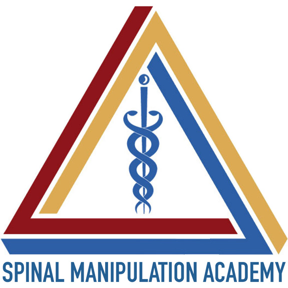 GLI ARTICOLI DI SPINAL MANIPULATION ACADEMY